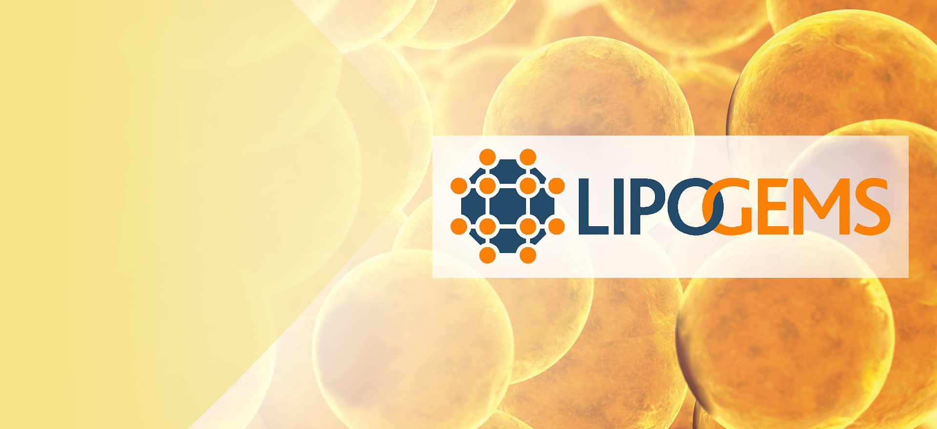 KOEC-web-szakrendeleseink-lipogems - Körúti Orvosesztétikai Centrum